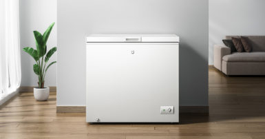 Xiaomi introduced its first freezer with a volume of 203 liters in China